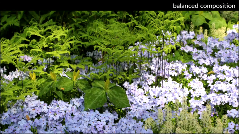 Designing resilient plant communities - Hort Journal Australia