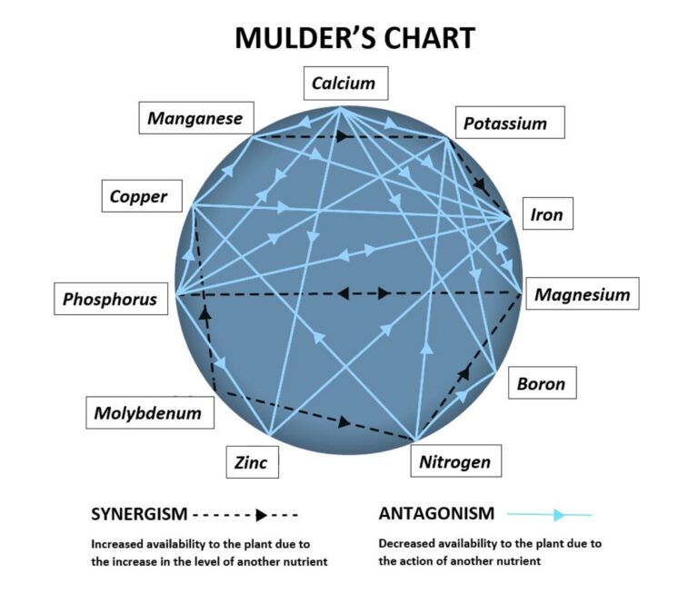 The Mulder’s chart: Going beyond NPK - Hort Journal Australia