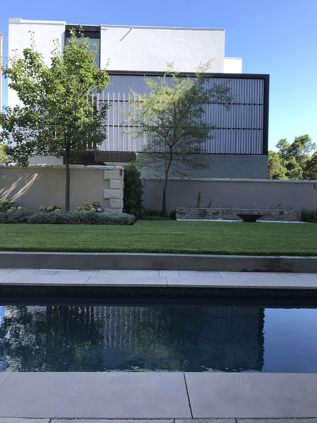 Advanced trees: Some tips for budding landscape designers - Hort ...