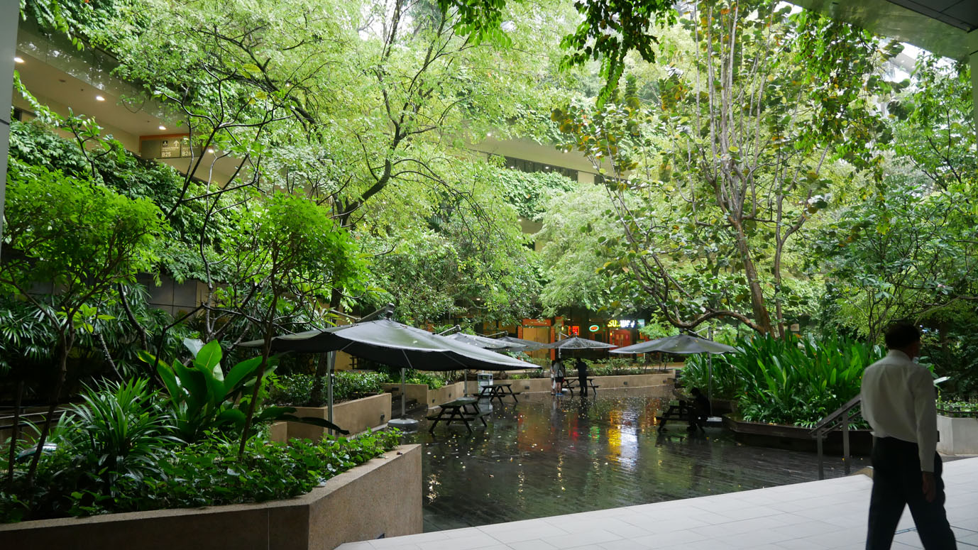 Behind the scenes tour of the city in a garden - Hort Journal Australia