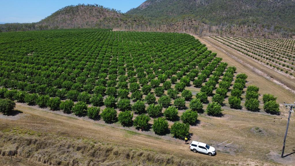 Kalyx expands into new regions, increasing research capacity - Hort ...