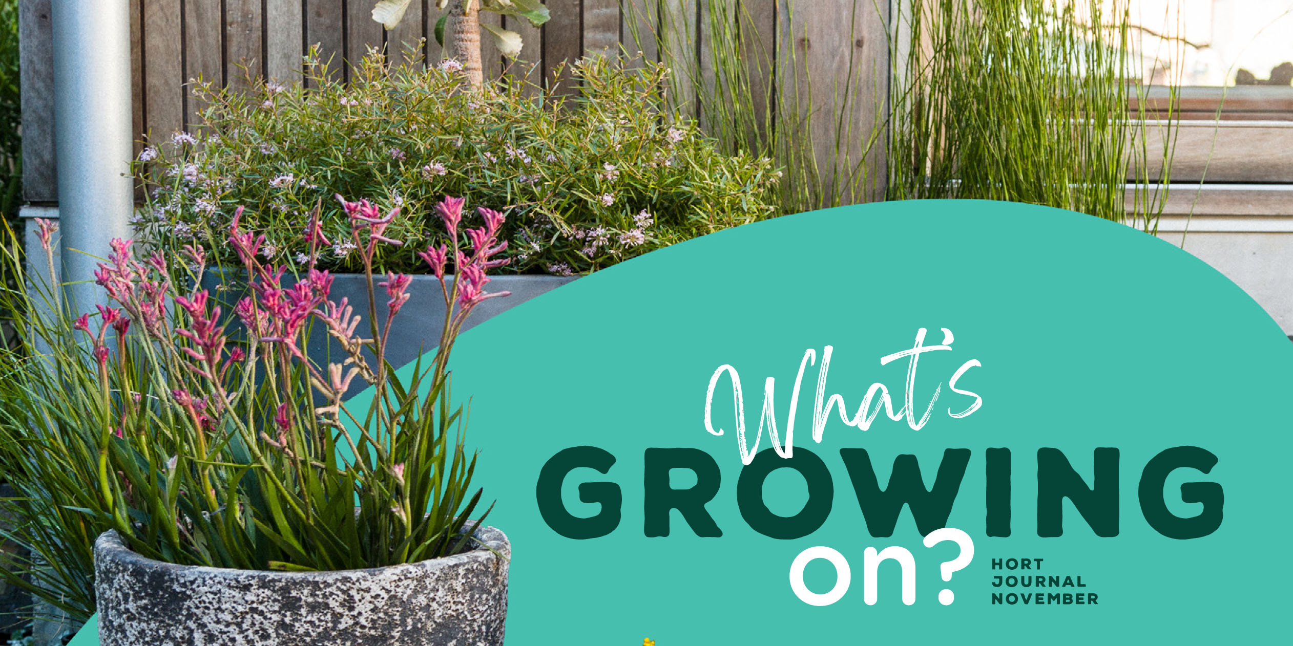 What's Growing On? - Hort Journal Australia