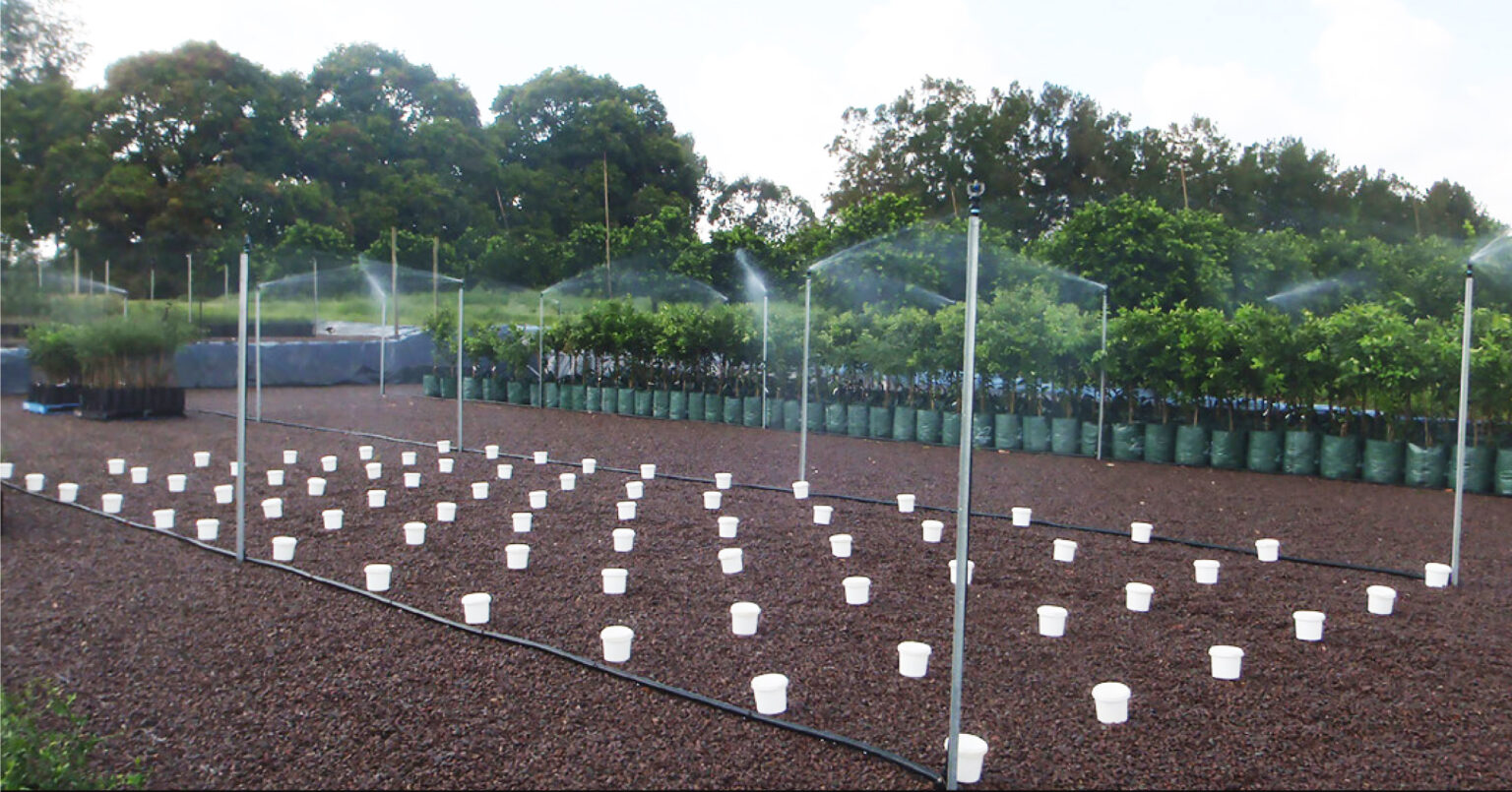 Nursery Papers - Sprinkler selection, layout and operation - Hort ...