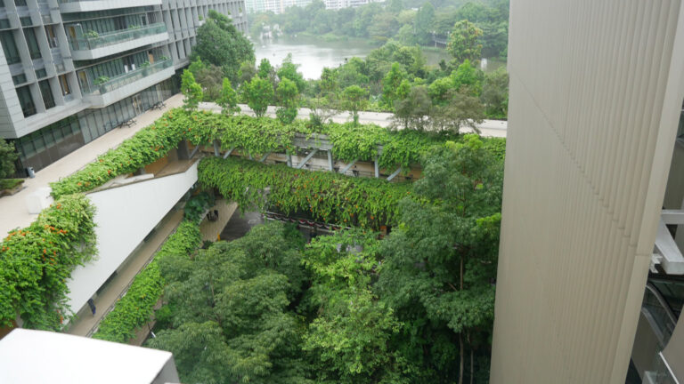 Singapore’s Khoo Teck Puat Hospital prescribes nature - Hort Journal ...
