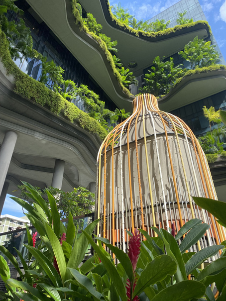 Successful plant selection for green infrastructure installations ...