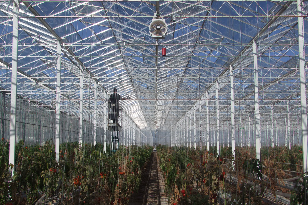 Educational greenhouses offer a positive step for a skilled industry ...