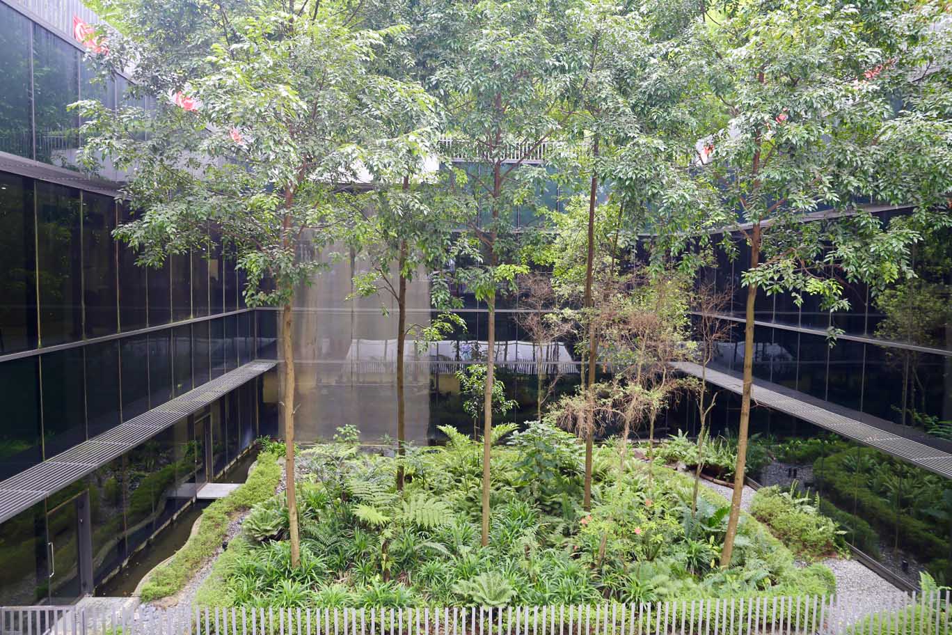 The tricky business of planting and managing trees in our built ...