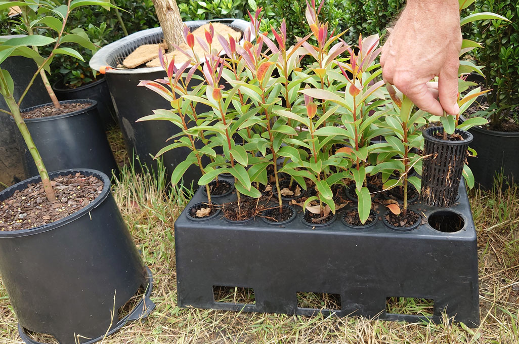 Proptec adds to its range - Hort Journal Australia