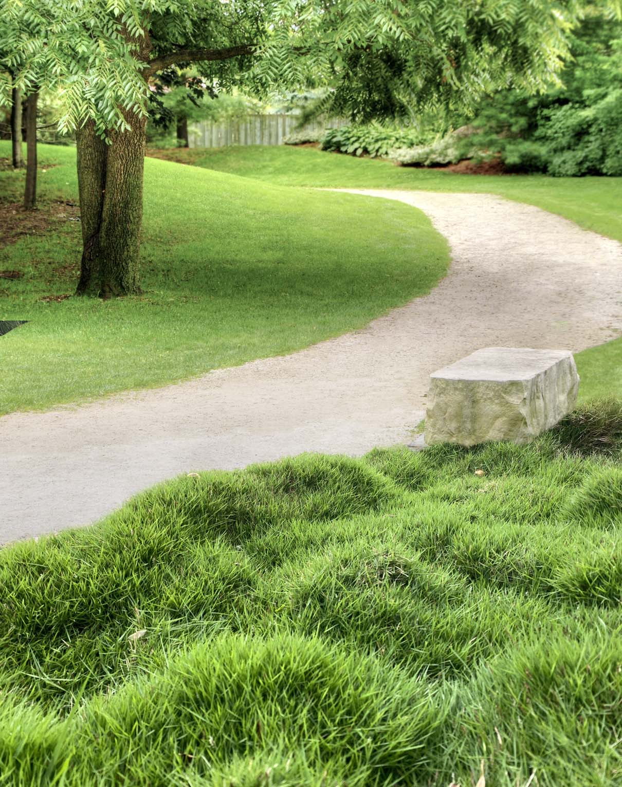 Ozbreed Grass Varieties