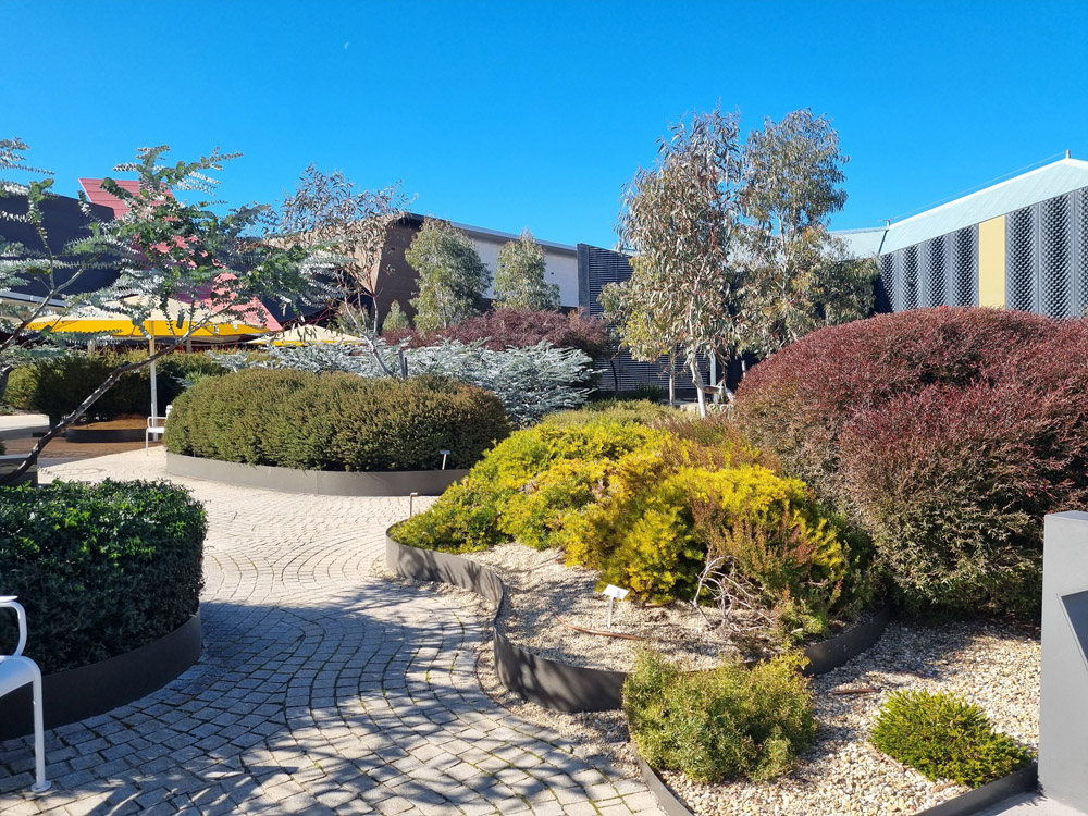 Let your creativity flow when exploring mass planting - Hort Journal ...