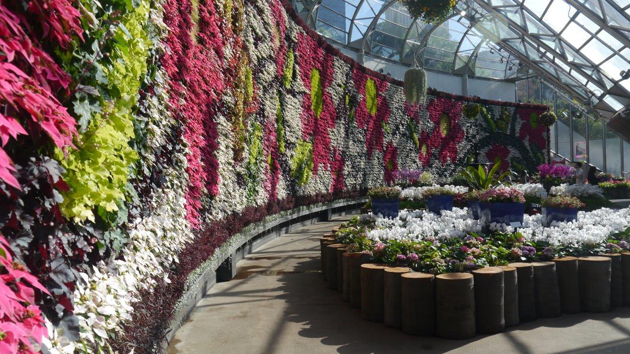 Six more Pathways in amenity horticulture - Hort Journal Australia