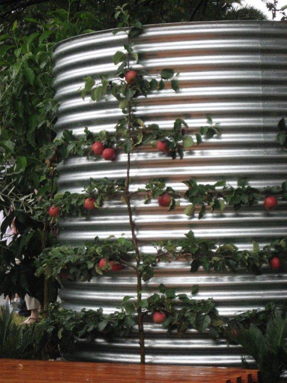 Fruitful design for unusual garden spaces - Hort Journal Australia