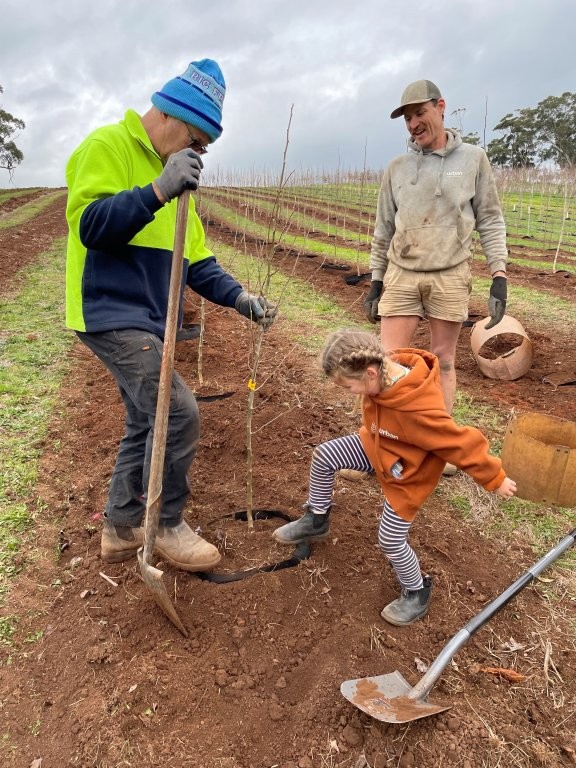 How a small Gippsland nursery gained $30k with levy-funded training ...