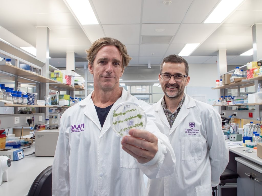 Moving biopesticides through plants opens new opportunities - Hort ...